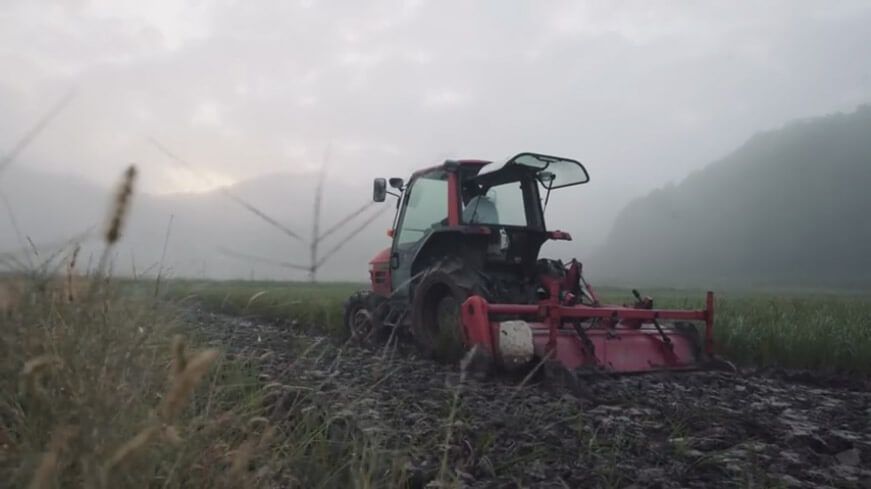 Travel like a local (A DAY IN TOYOOKA) - Visit Kinosaki