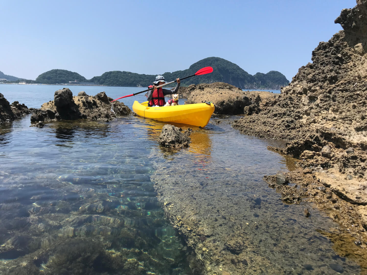 Visit Kinosaki – Best Onsen Town in Japan | The Official Site